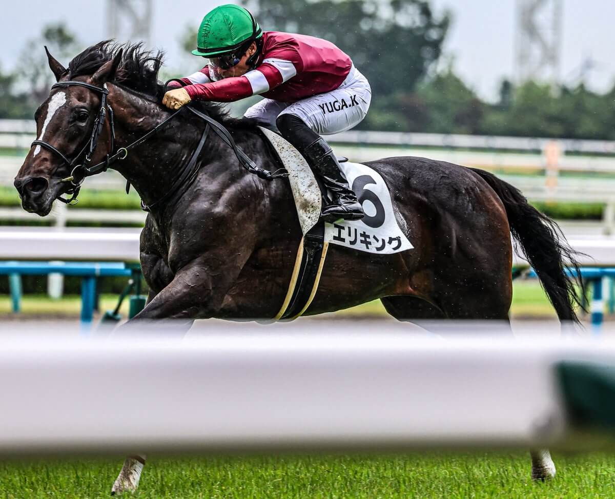 Umamusume Hopes For A New 'White Wonder' - Idol Horse