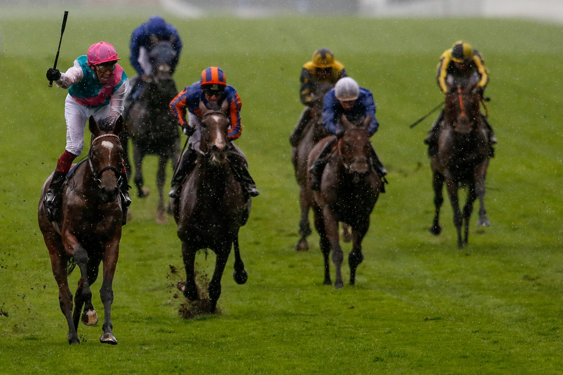 John Gosden horse trainer: Ultimate career guide and latest news