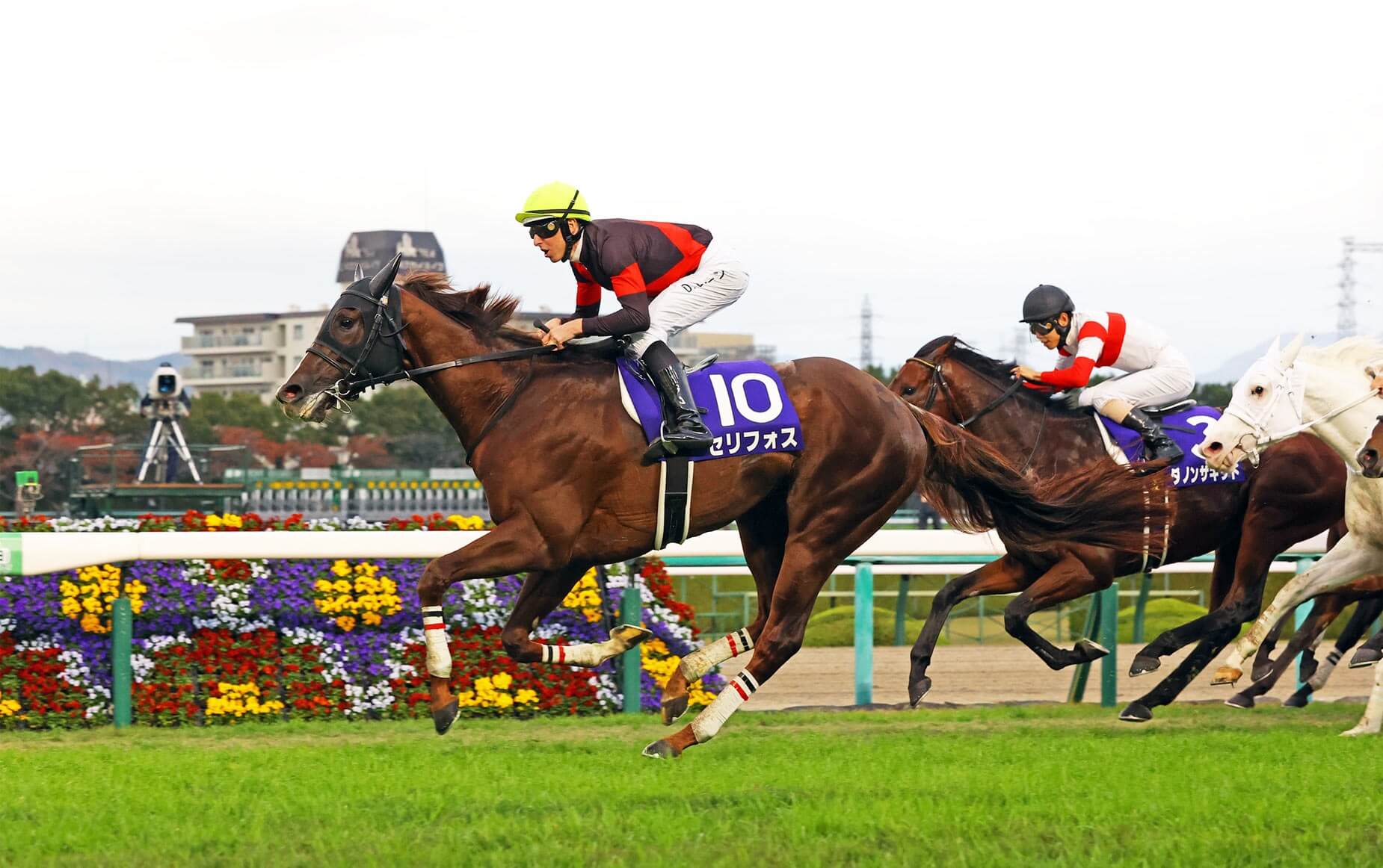 Liberty Island Recovering Well, On Track For Tenno Sho Autumn