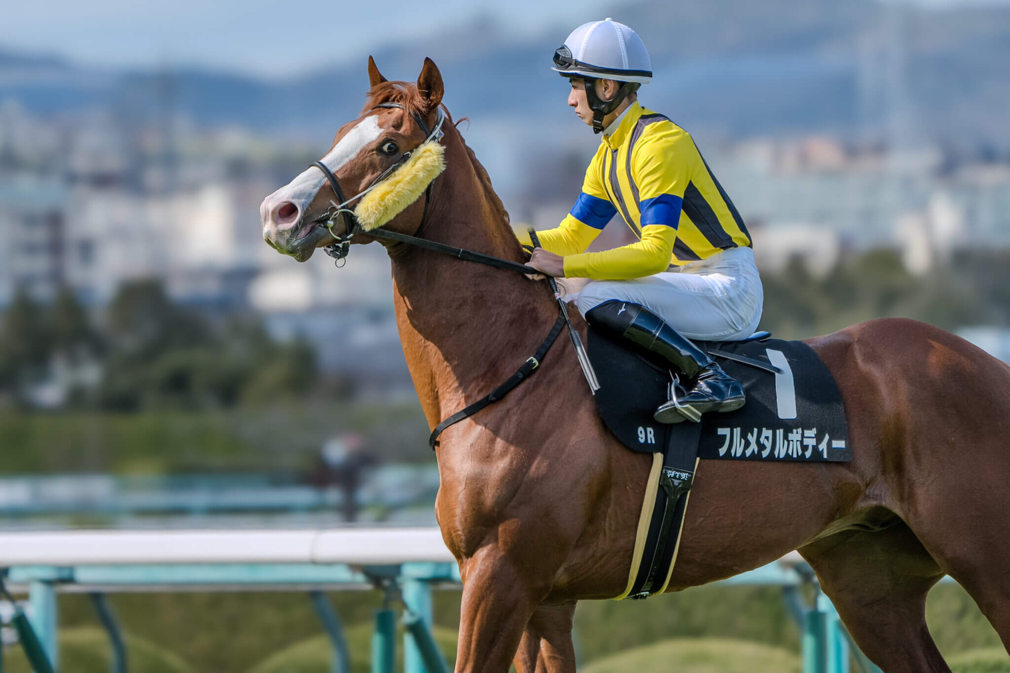 2025 NHK Mile Cup preview: Admire Zoom the one to beat at Tokyo