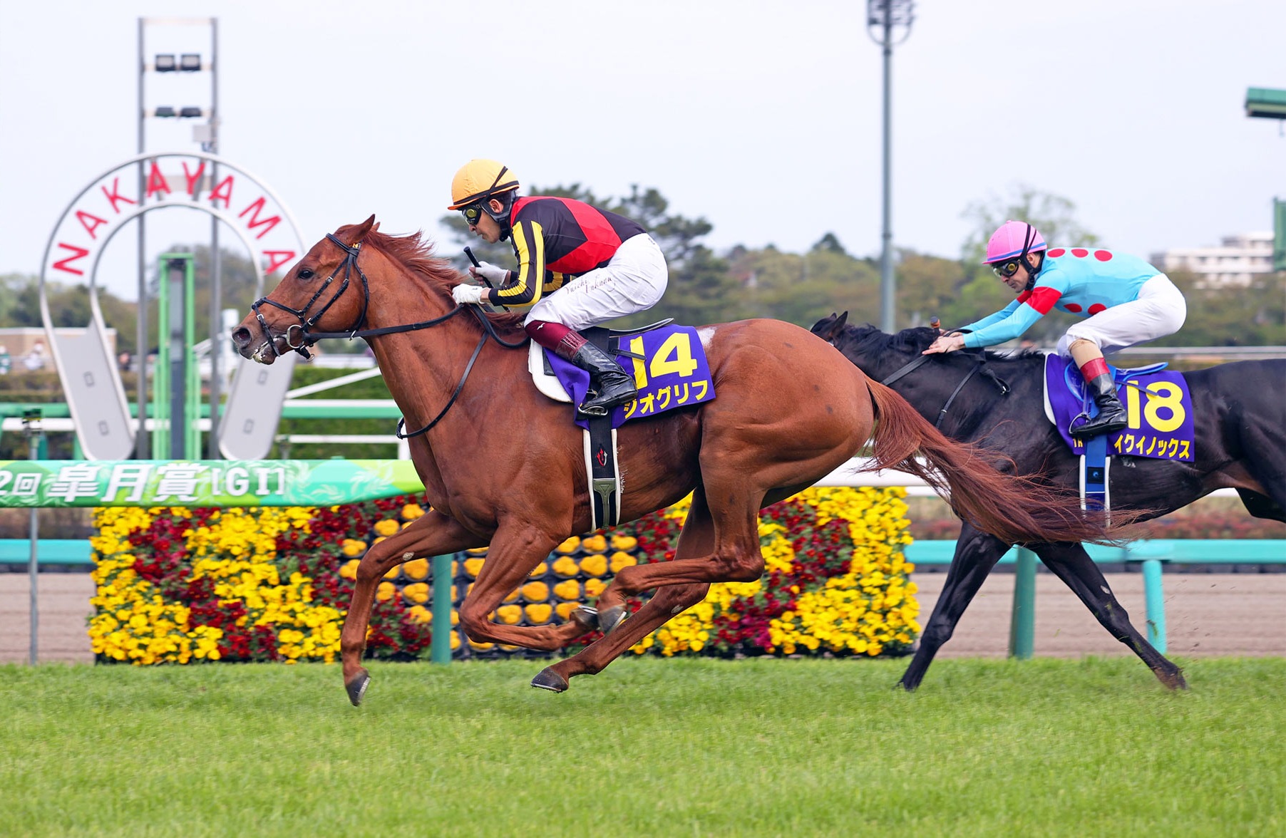 4月から来日のレーン騎手、豪でジオグリフら大物とのG1挑戦続々