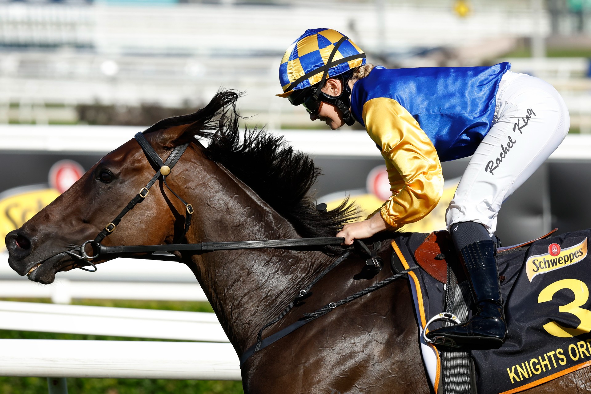 R・キング騎手の夢: 急がば回れ、豪トップジョッキーへの道