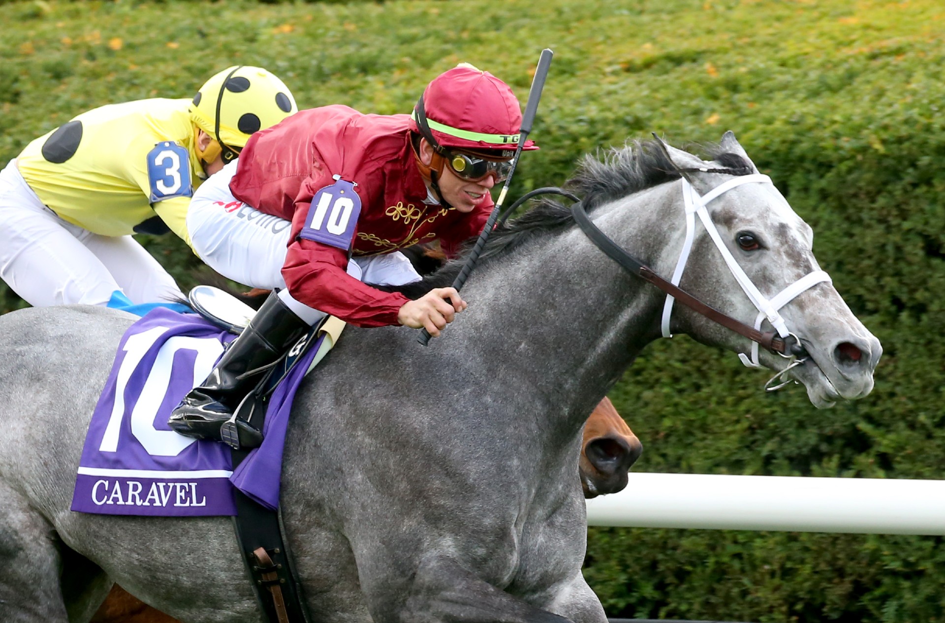 A 'Goliath' horse racing journey: John Stewart versus the world