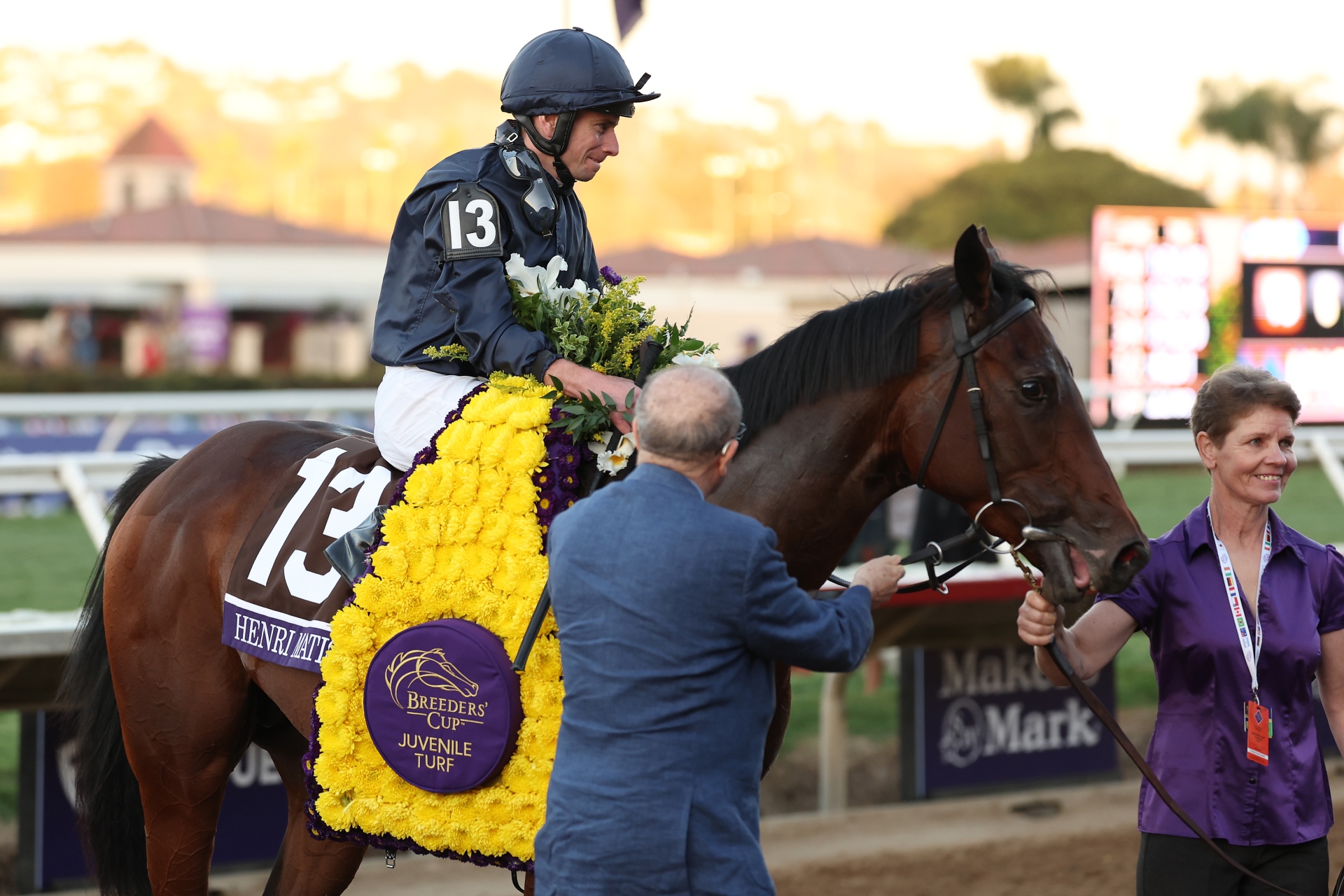 Expectations count for nothing in the Breeders’ Cup furnace