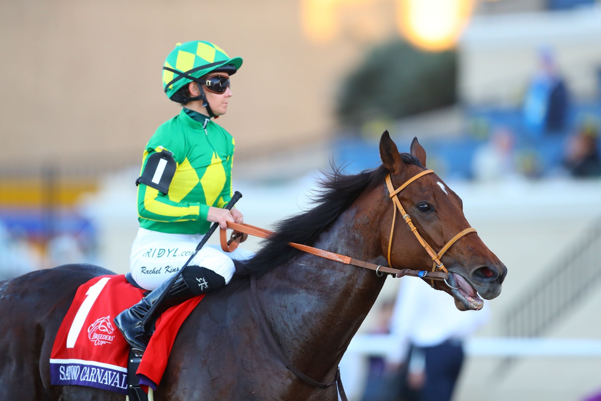 History in Japan as Rachel King wins G1 February Stakes at Tokyo