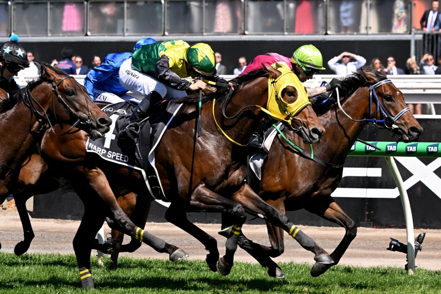Overseas options for Melbourne Cup runner-up Warp Speed