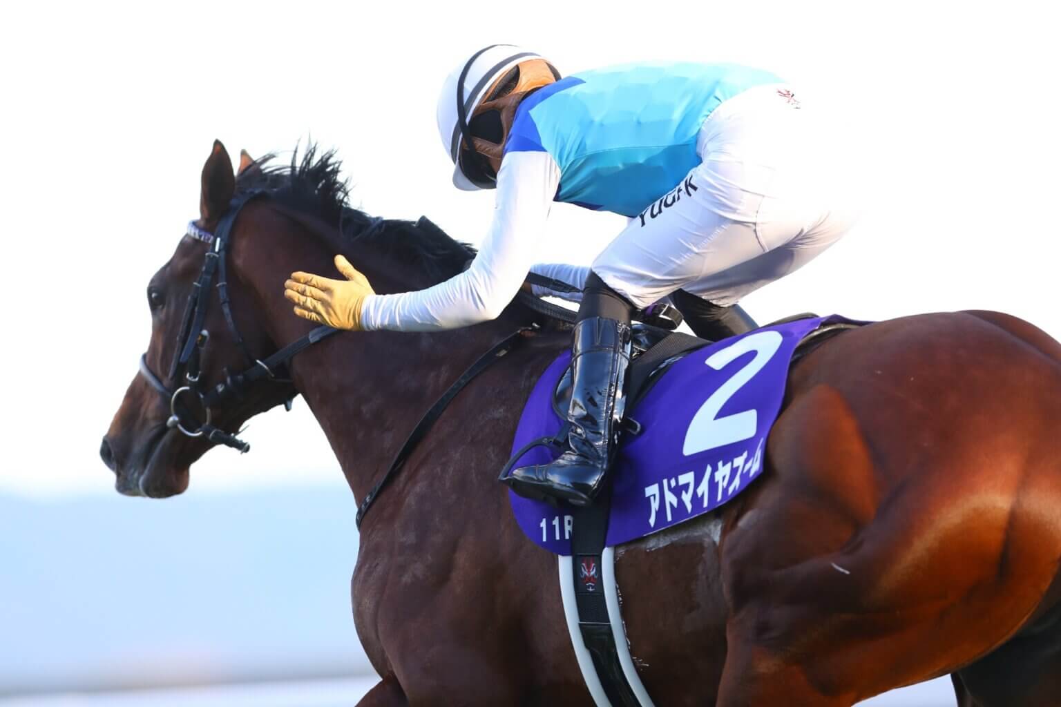 Tokyo Yushun: Ranking the top 18 Japanese Derby seeds for 2025