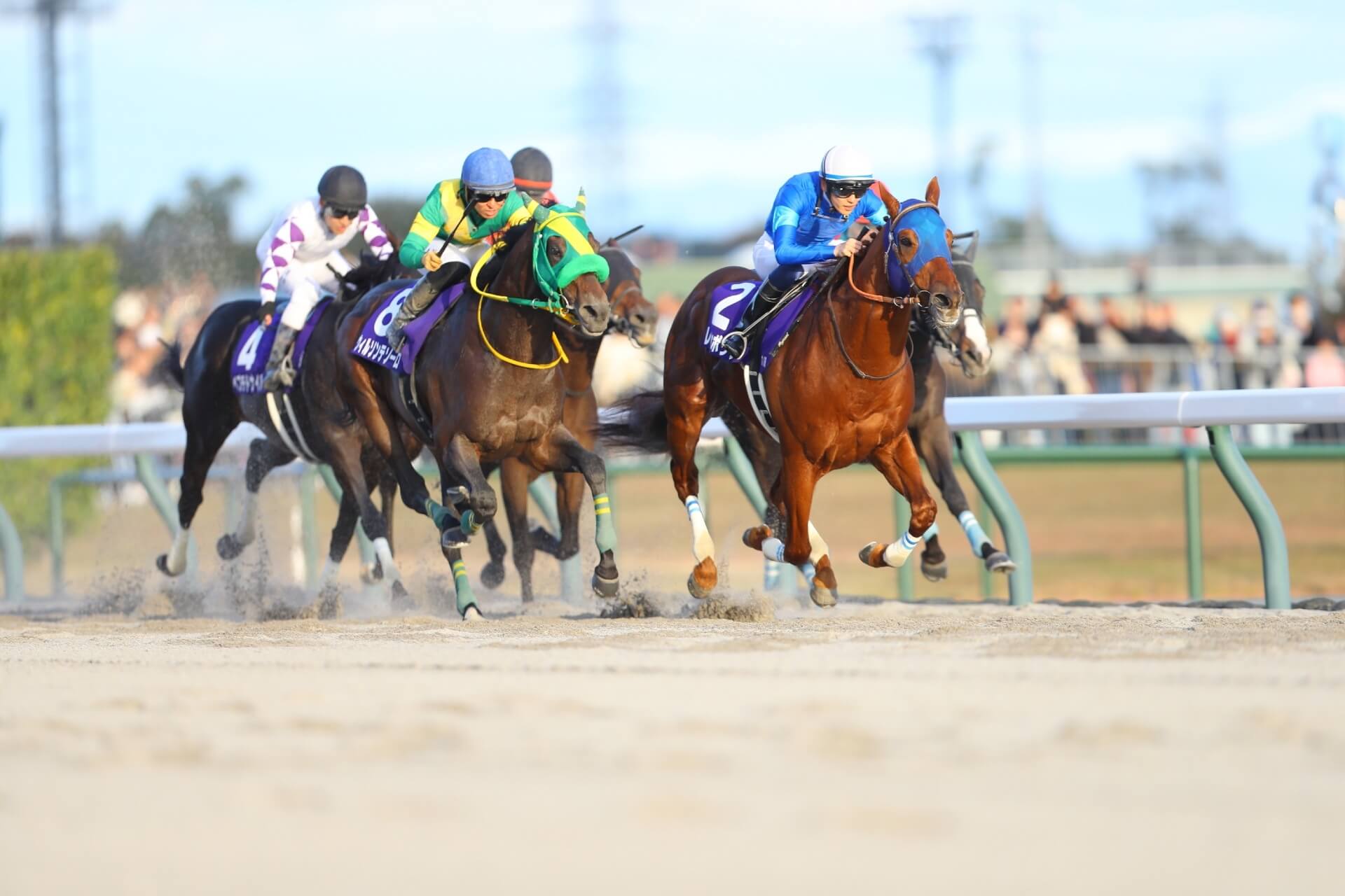 Lemon Pop lands another Champions Cup win in final race