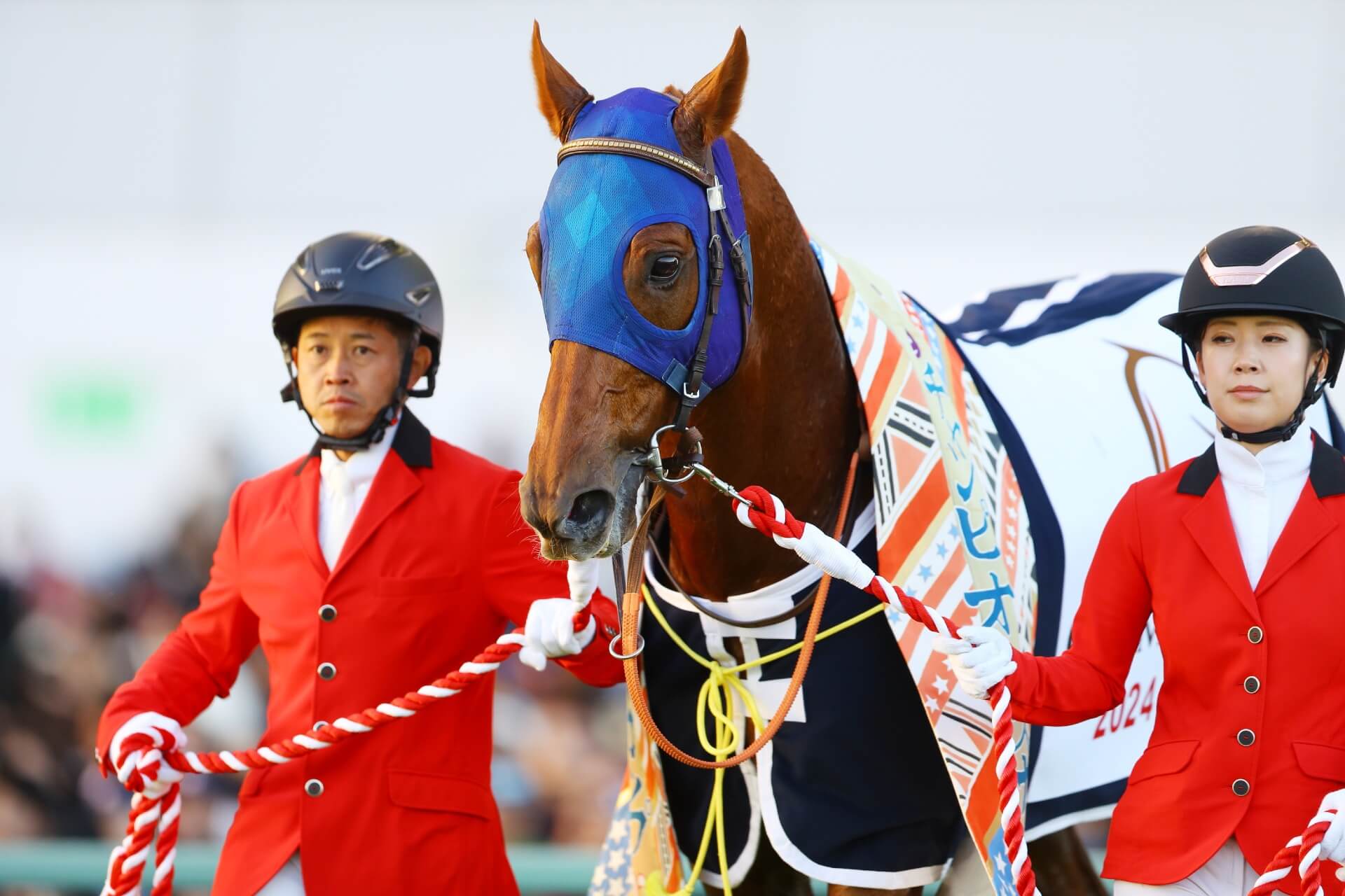 Lemon Pop lands another Champions Cup win in final race