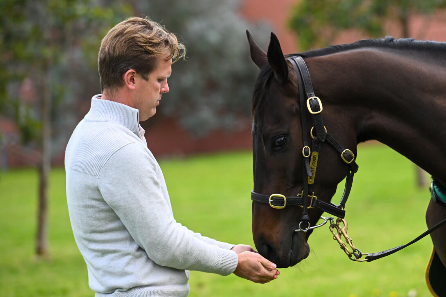 Horse trainer Anthony Cummings opens up on life without racing