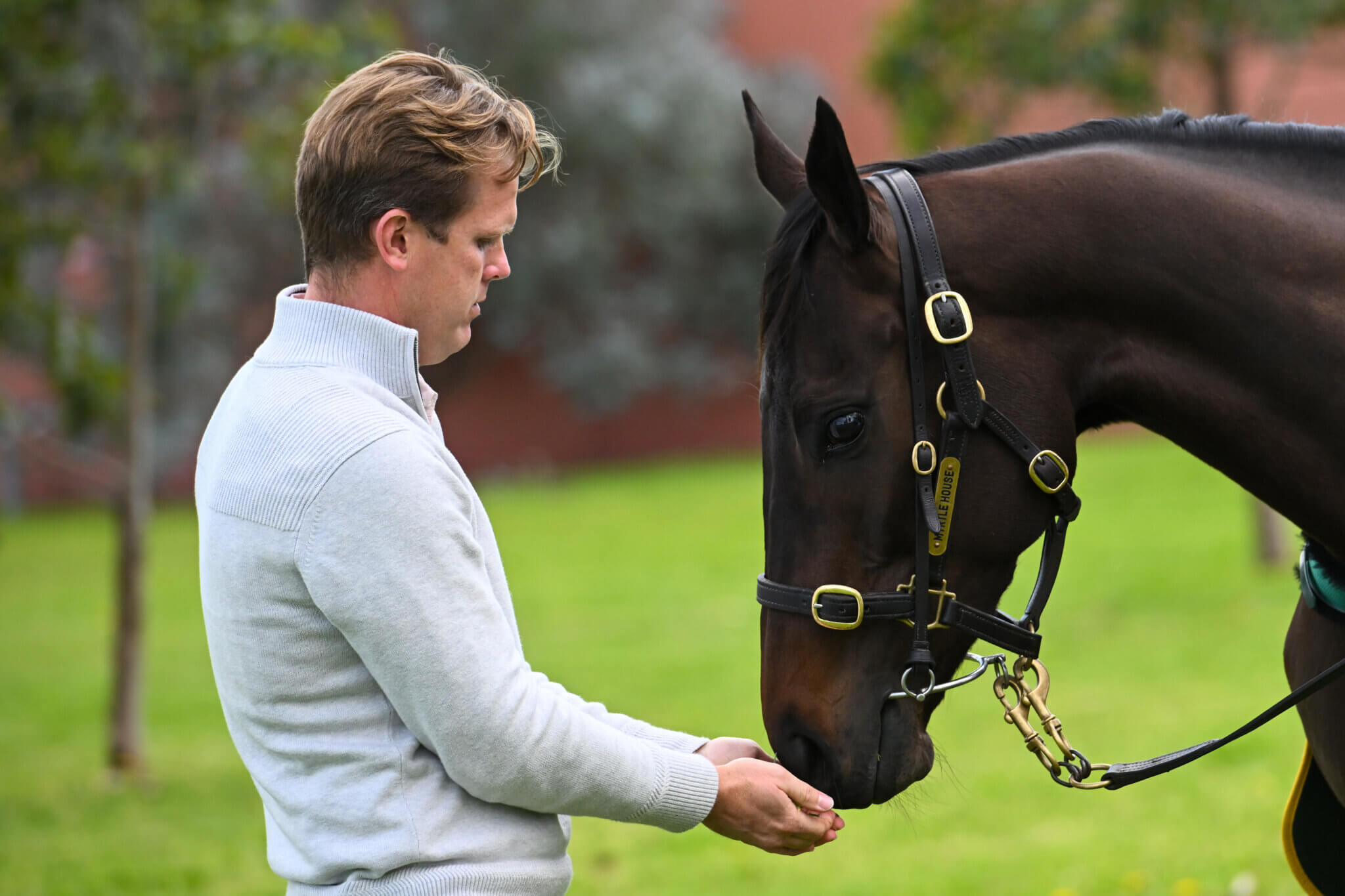 Horse trainer Anthony Cummings opens up on life without racing