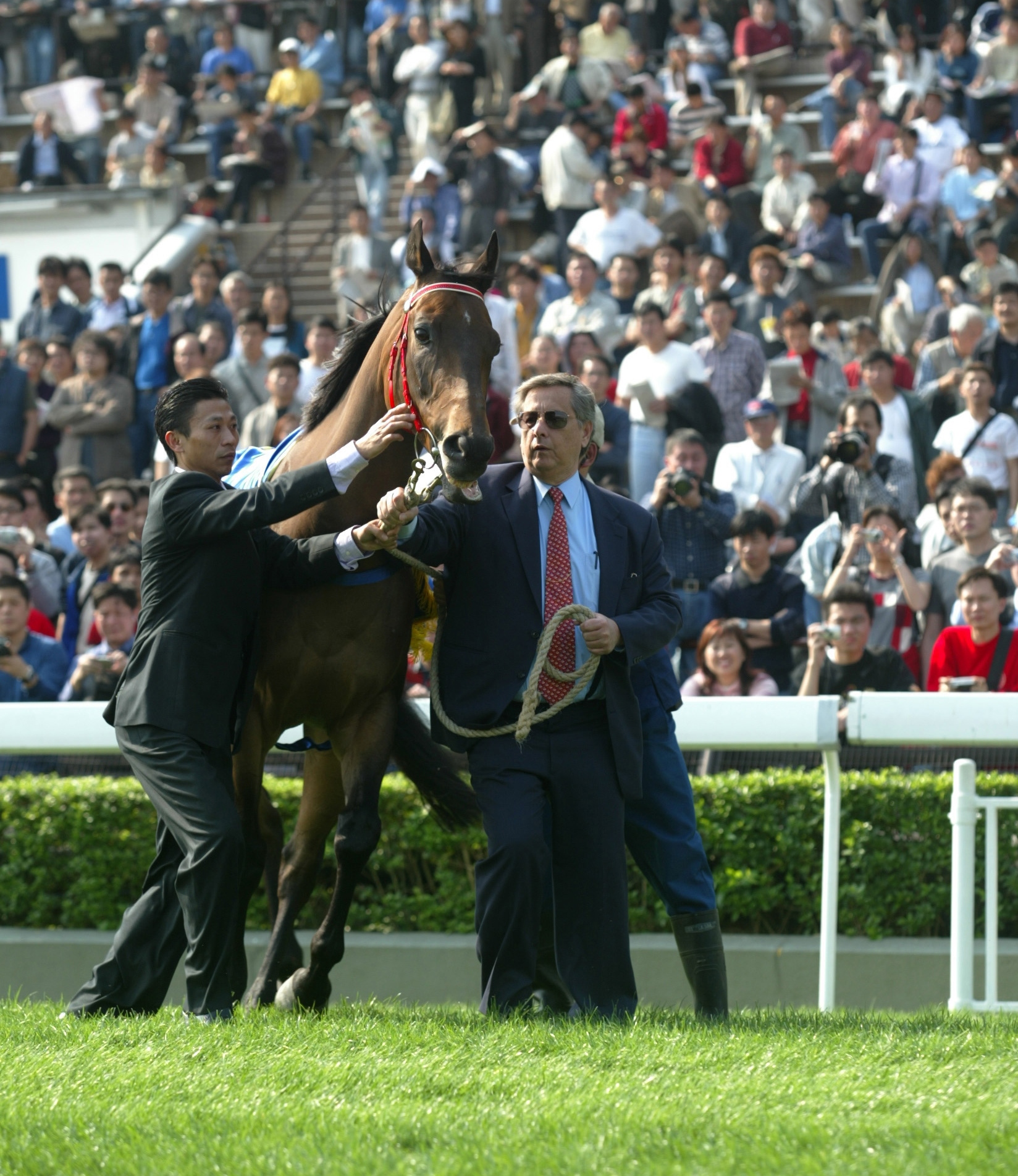 Saudi Cup: Danny Shum and the team behind Romantic Warrior