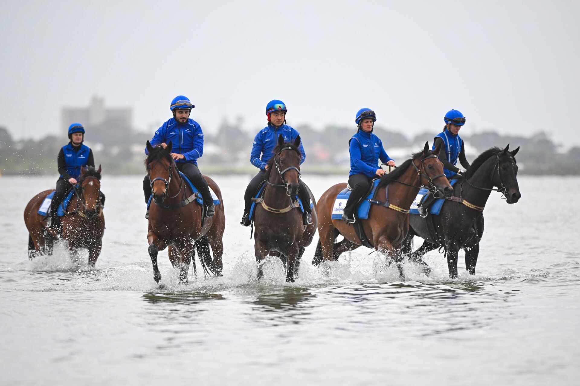 Godolphin blues? The future of global racing giant's Australian arm