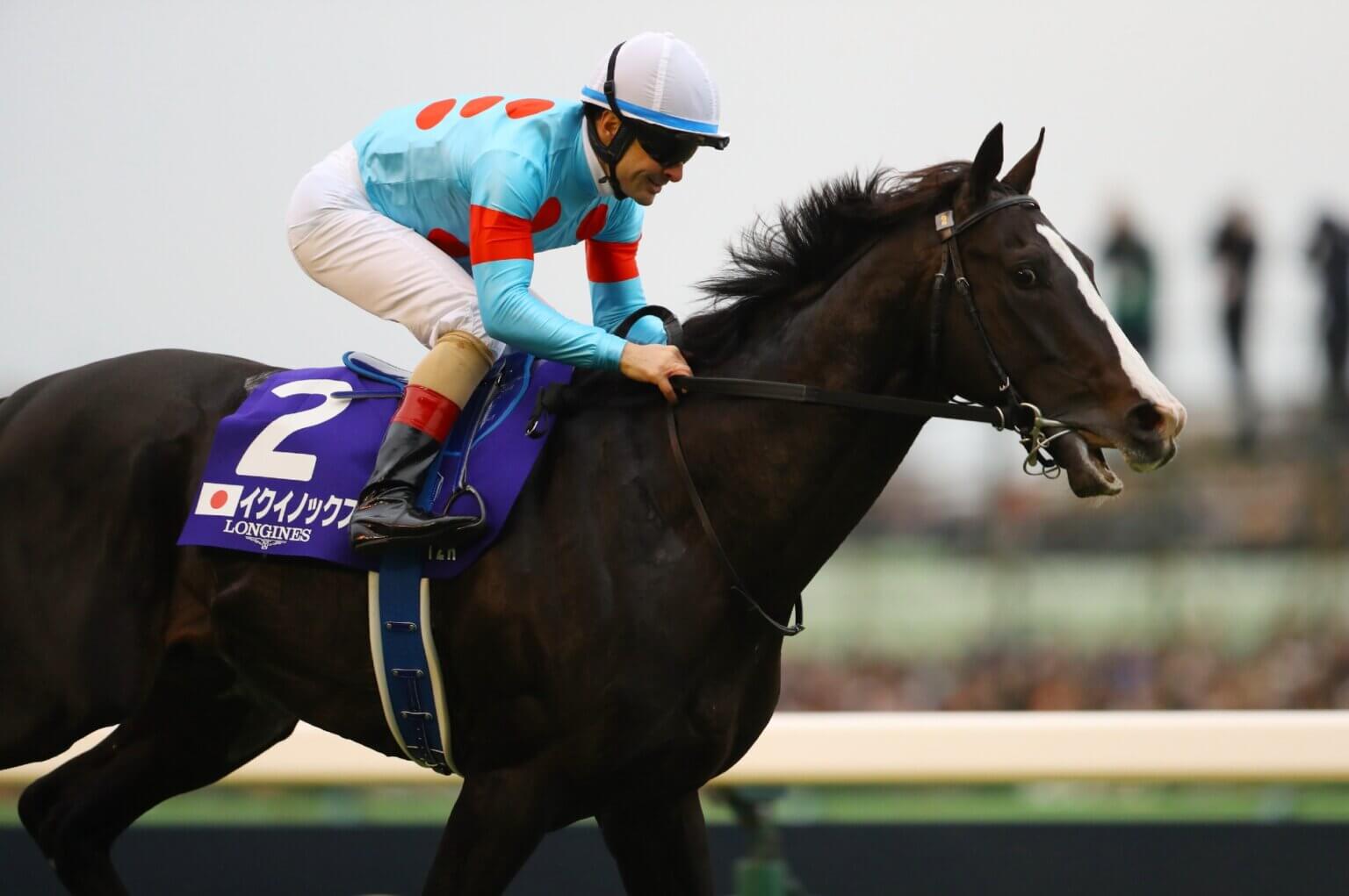 The Rich 50: Who are the highest earning racehorses of all time?
