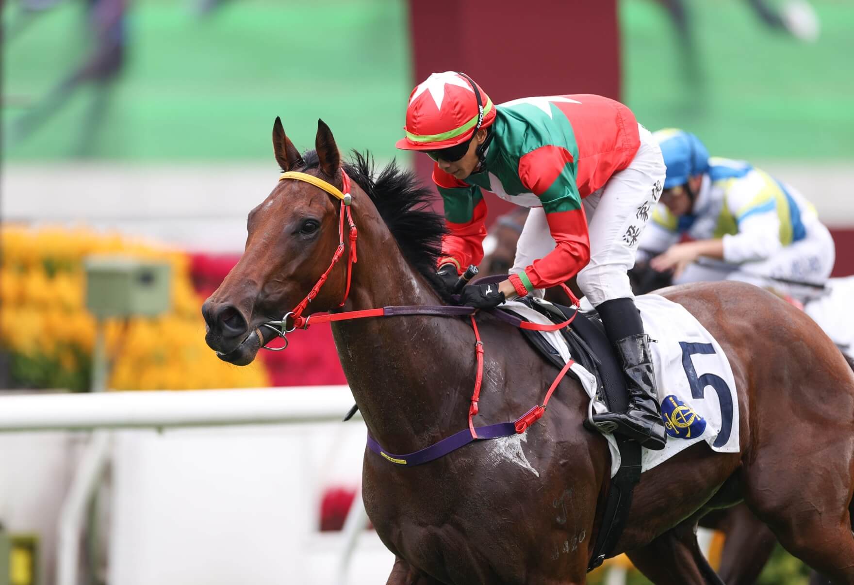 2025 BMW Hong Kong Derby Power Rankings, March 11