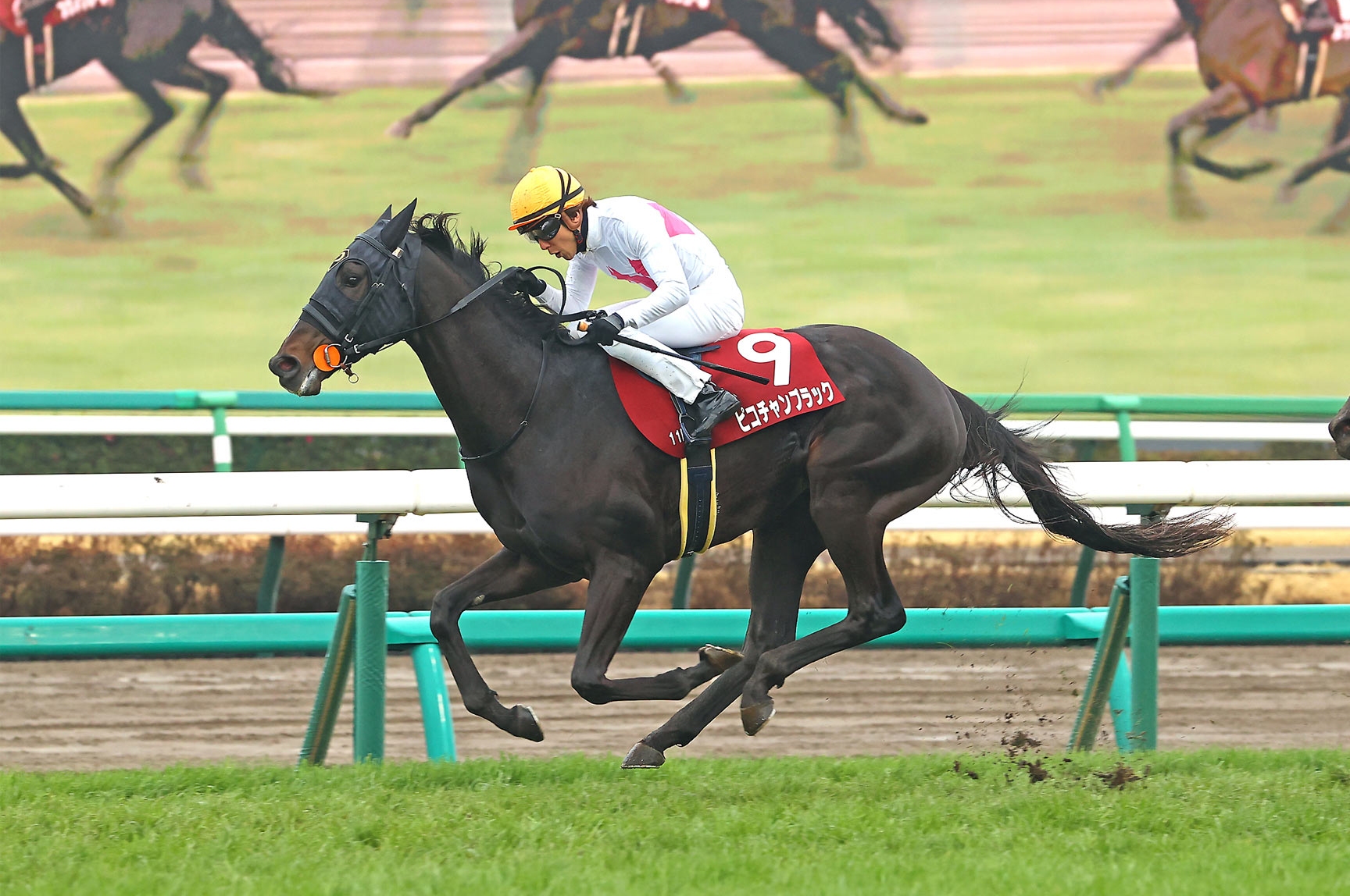 2025 Japanese Derby: Ranking the Tokyo Yushun contenders