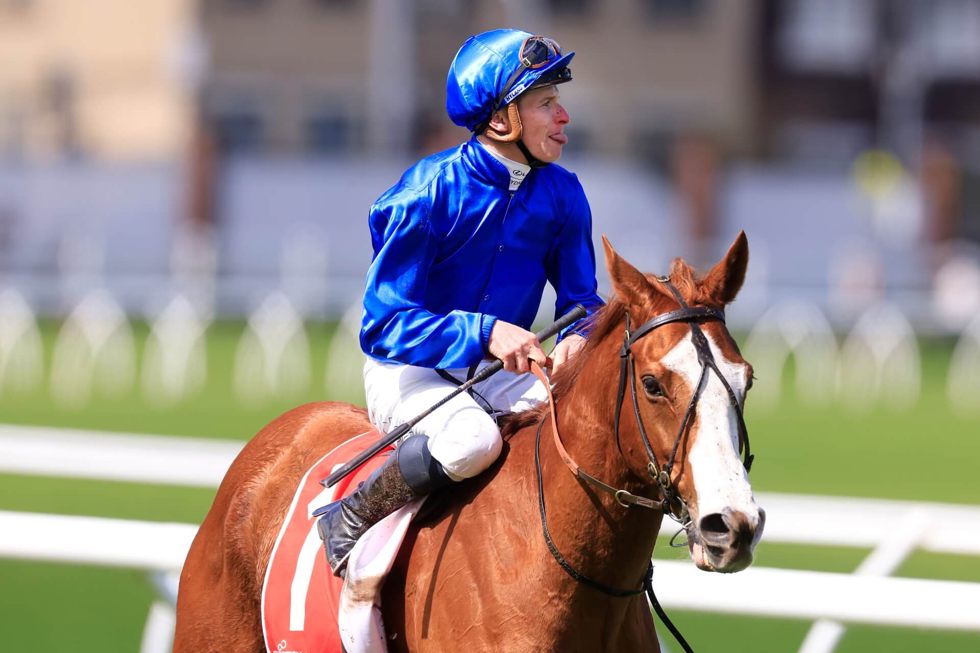 Godolphin blues? The future of global racing giant's Australian arm