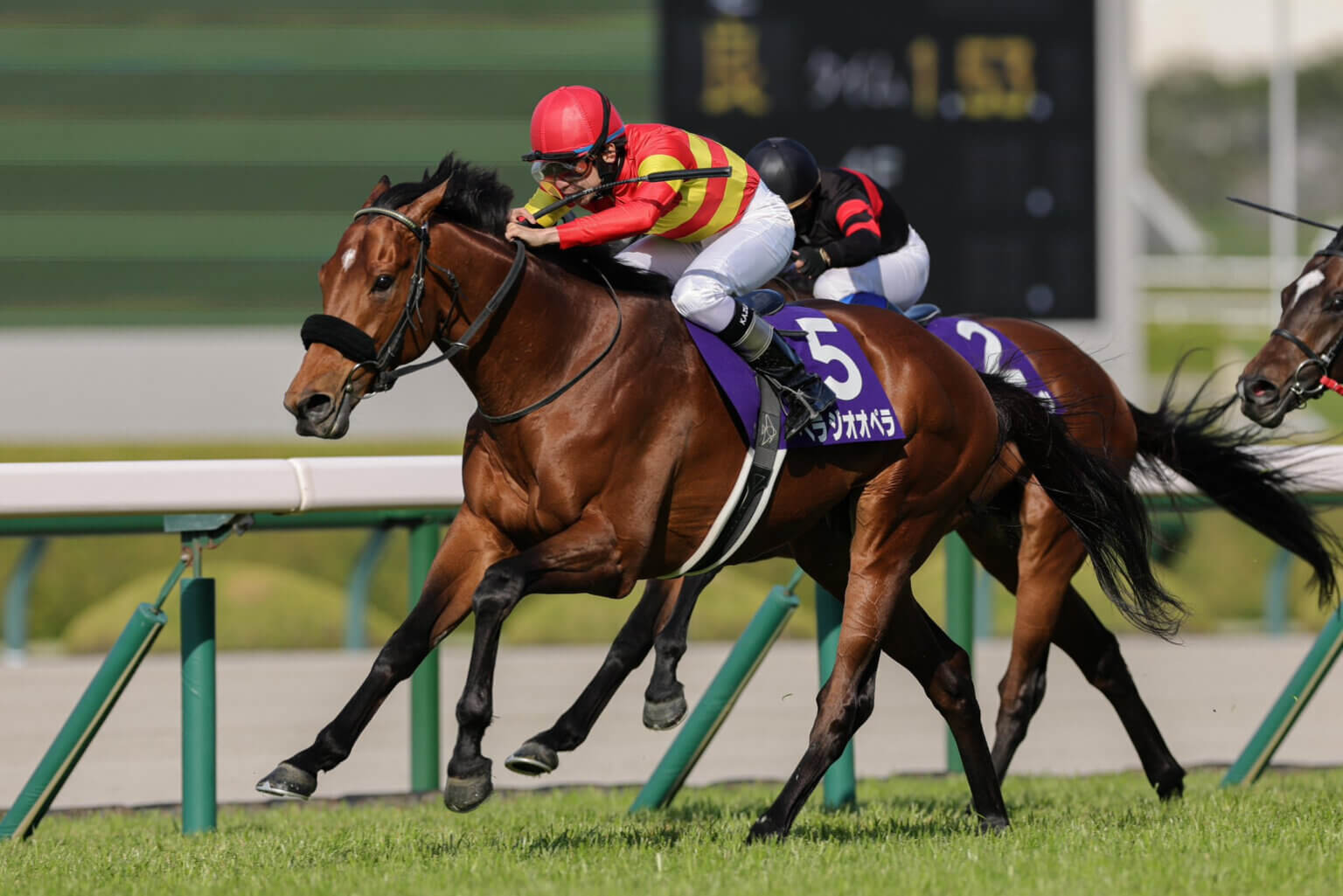 Osaka Hai 2026: What you need to know about Hanshin Group 1 race
