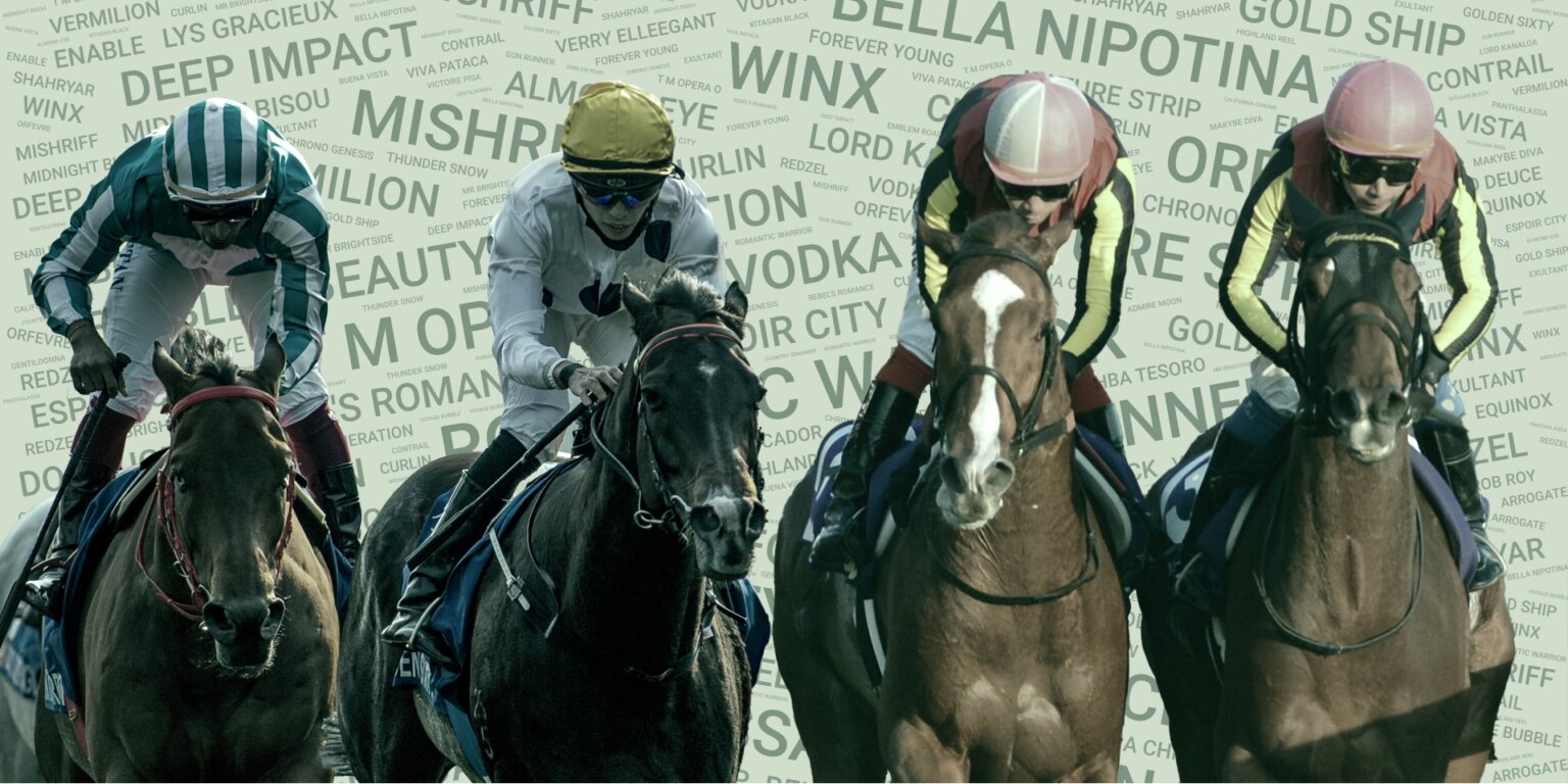 The Rich 50: Who are the highest earning racehorses of all time?