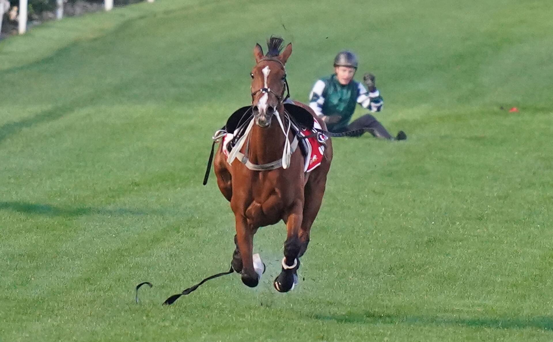 Via Sistina: Chris Waller's "smooth rocket" that walks funny