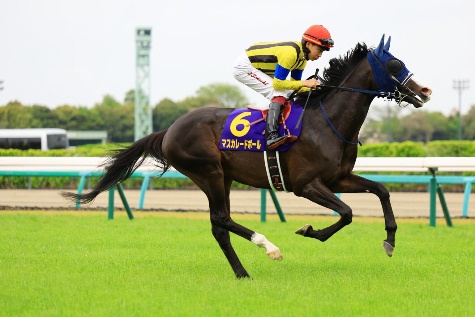 2025 Japanese Derby: Ranking the Tokyo Yushun contenders