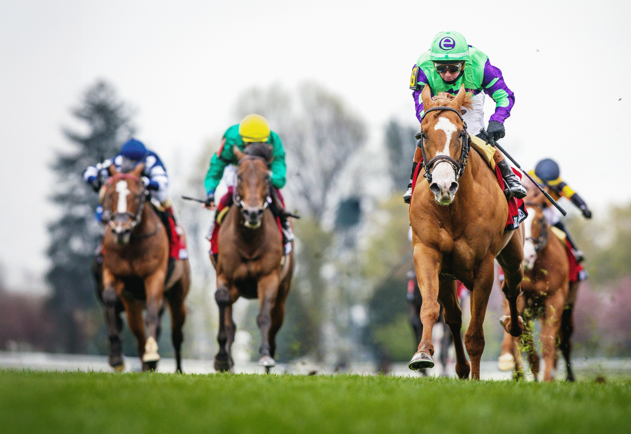 Maher, Yulong eye Royal Ascot with new recruit Carl Spackler