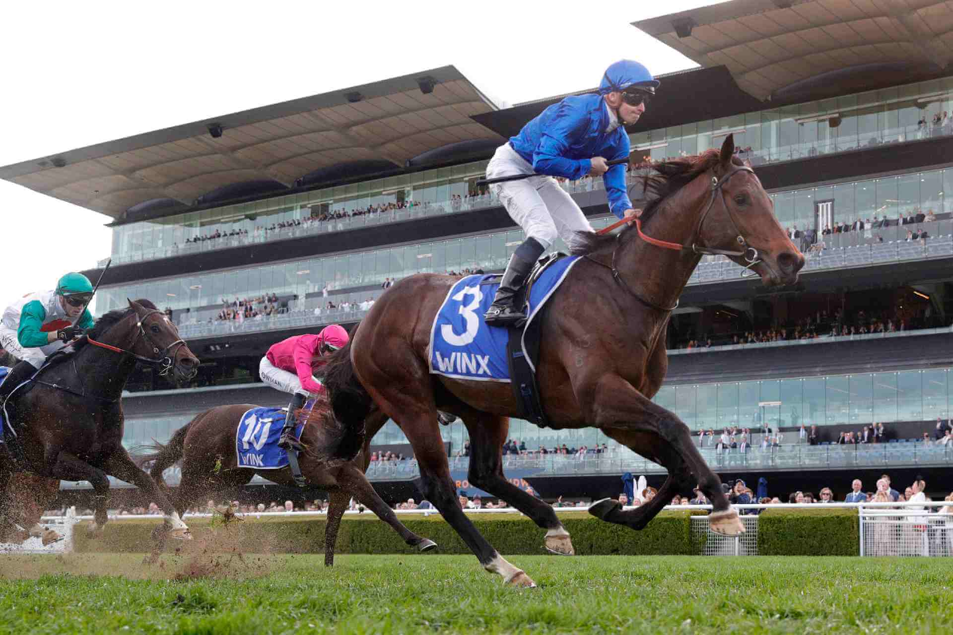 James Cummings horse trainer: Latest news and trainer profile