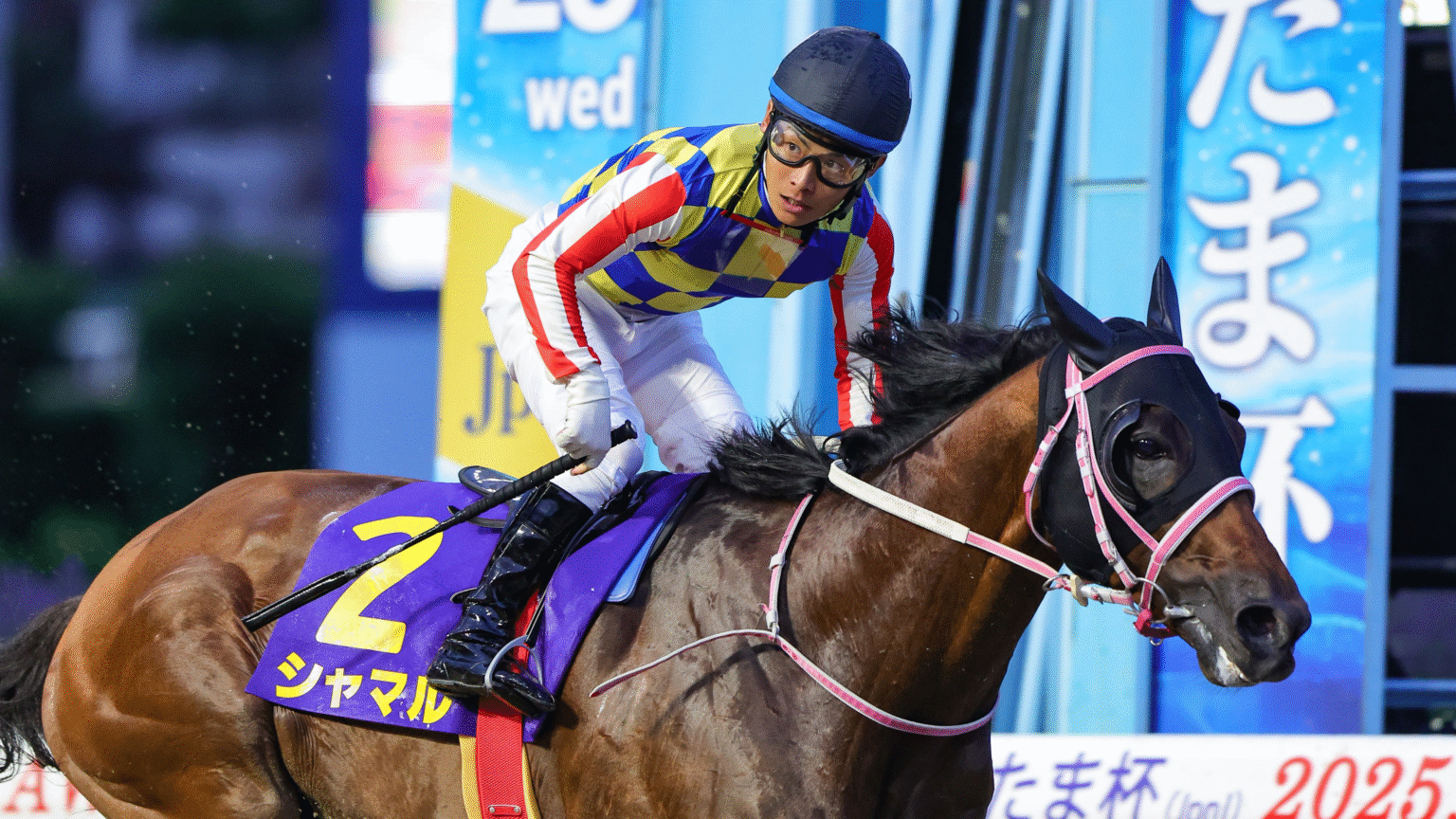 Sakitama Hai winner Shamal enters Korea Sprint mix