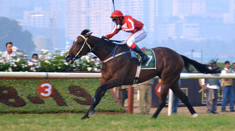 Indian statesman Suraj Narredu takes to the world in Shergar Cup