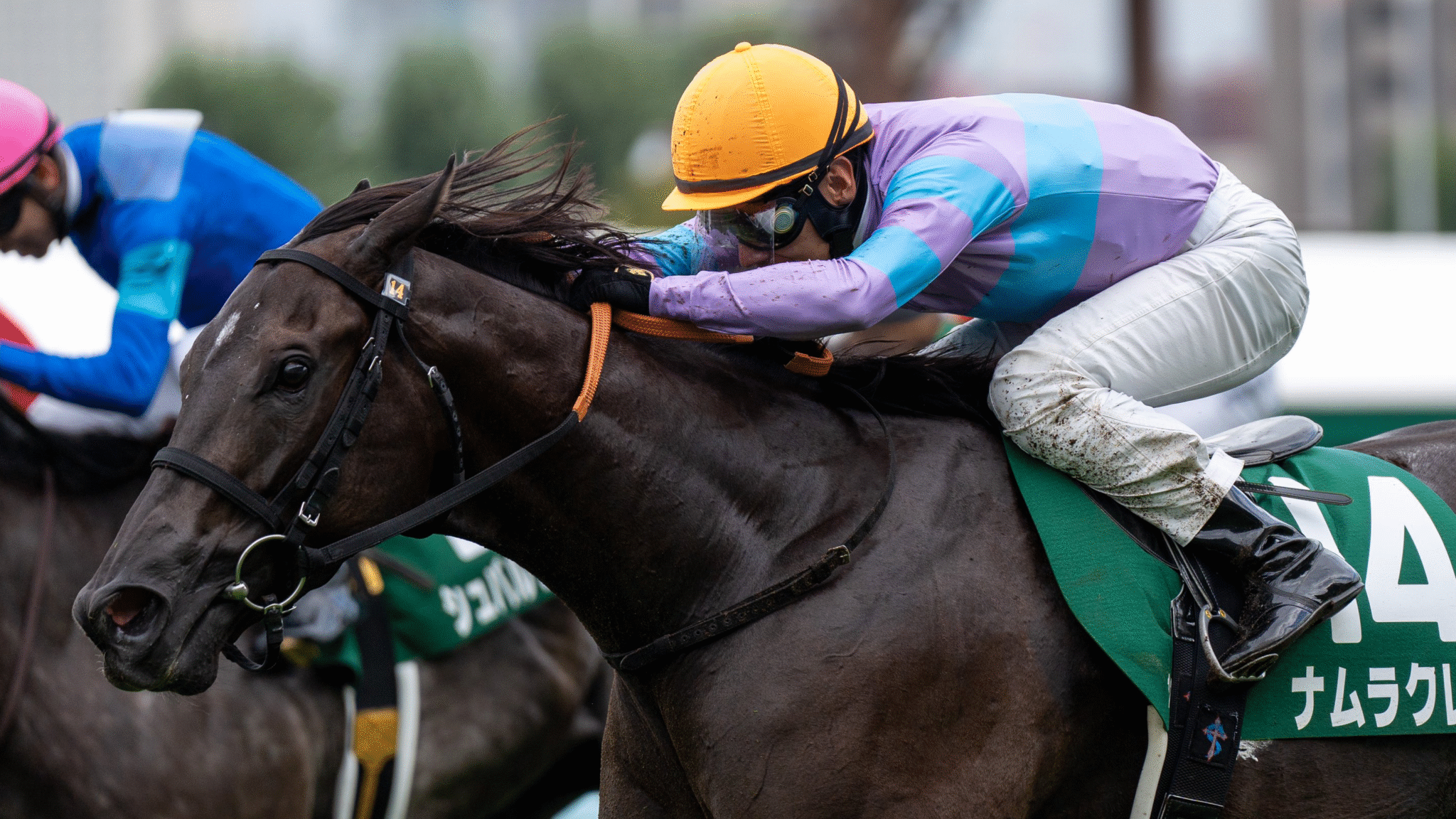 2026 Takamatsunomiya Kinen: What you need to know about Japan G1