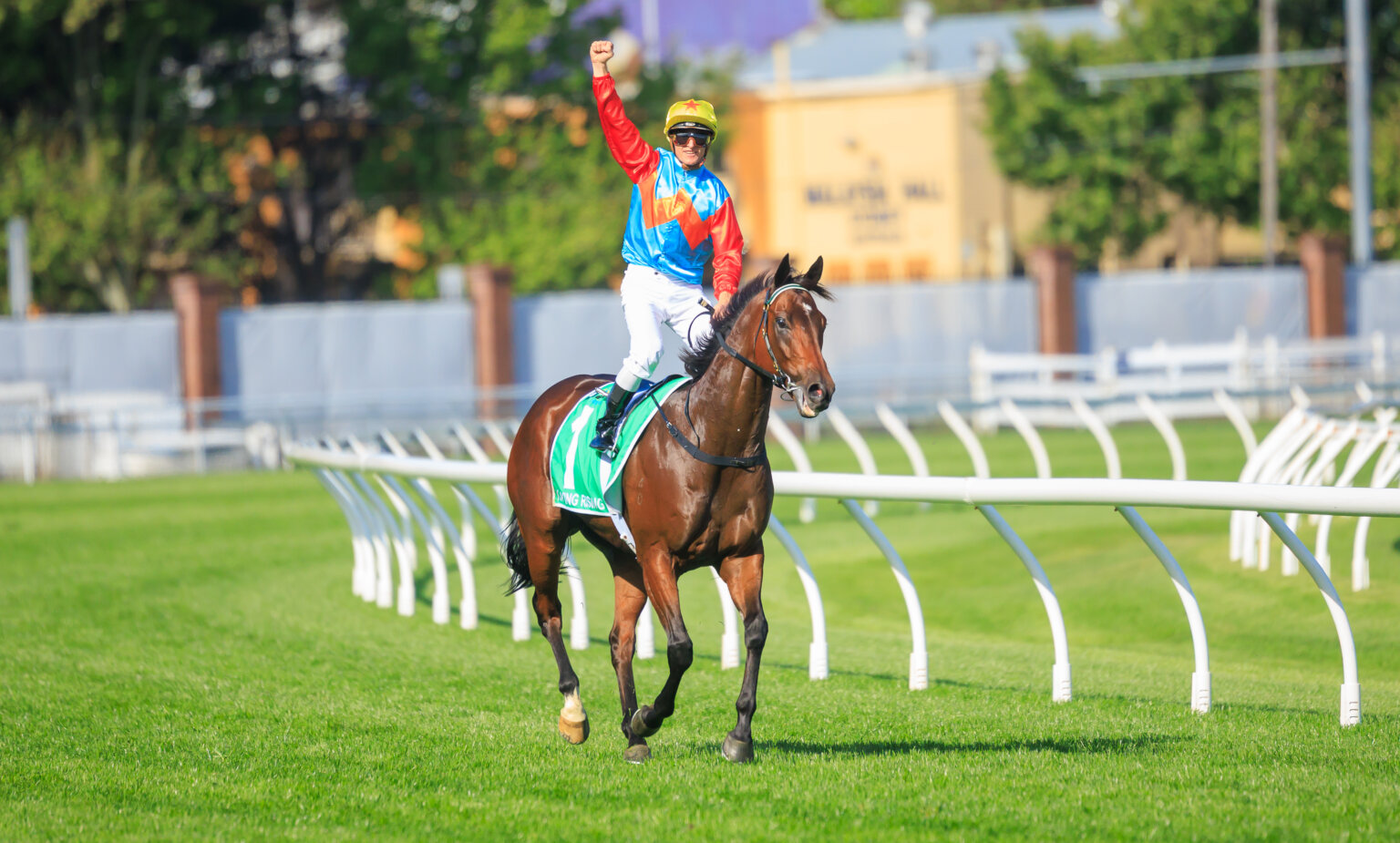 Hong Kong sprinter Ka Ying Rising wins The Everest