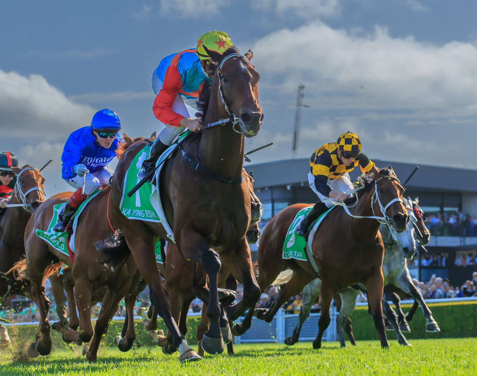 The Rich 50: Who are the highest earning racehorses of all time?