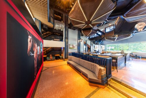 Genso: A new way to experience Hong Kong racing at Sha Tin