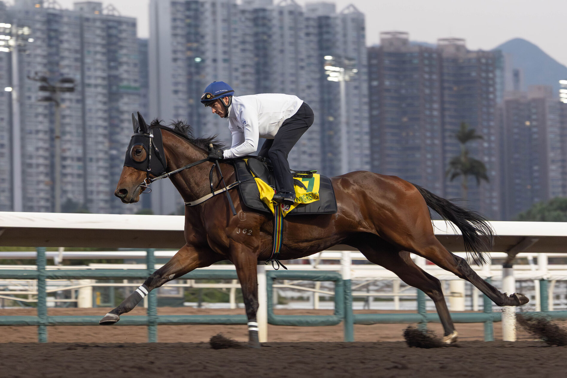 HKIR 2025: Ka Ying Rising and Romantic Warrior revved and ready