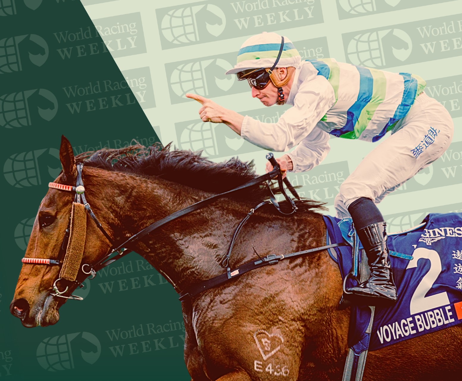 World Horse Racing News - Idol Horse